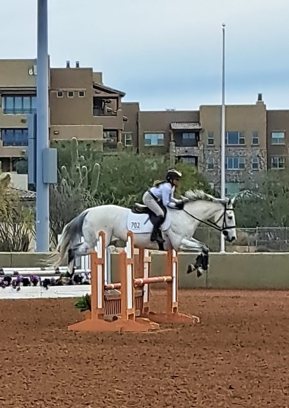 Four Reel Farm – putting the fun back in showing